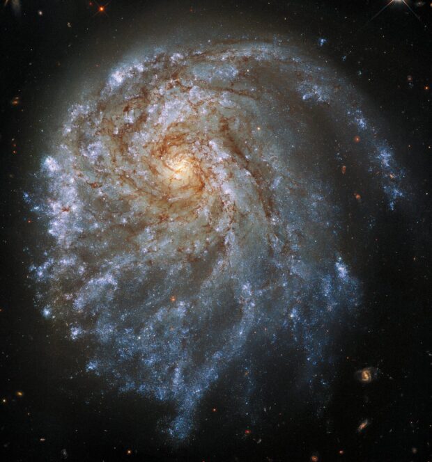 Le contorsioni galattiche di Ngc 2276 – MEDIA INAF